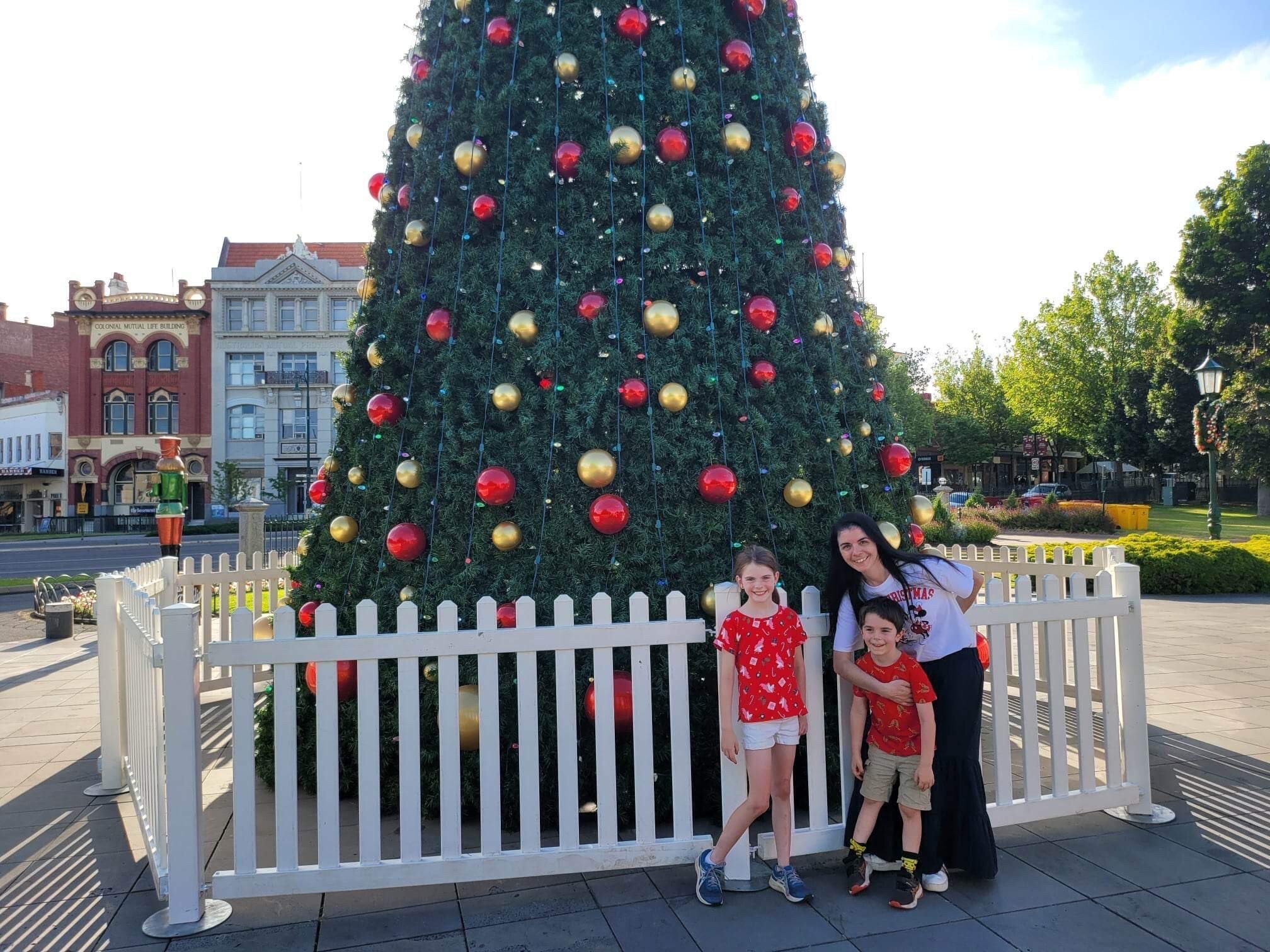 Vandalism to Bendigo's new $1.5 million playground won't stop opening ...