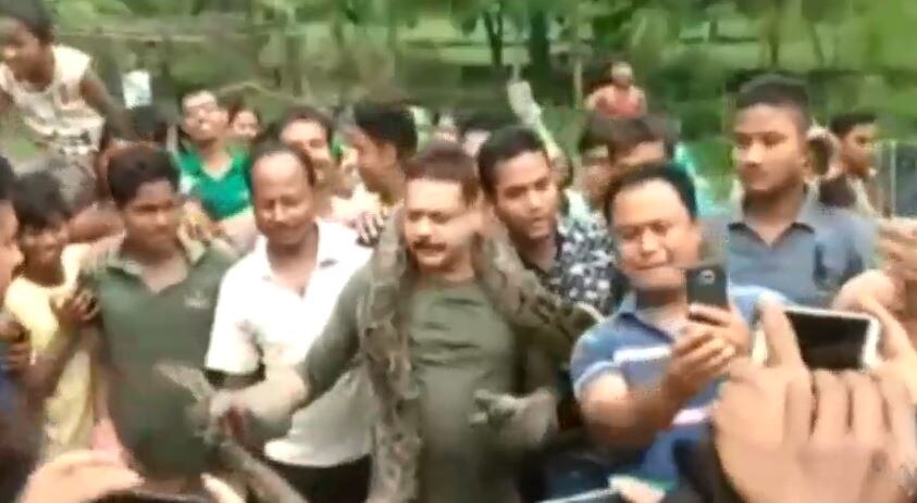 Rescued python puts the squeeze on forest ranger in India - ABC News