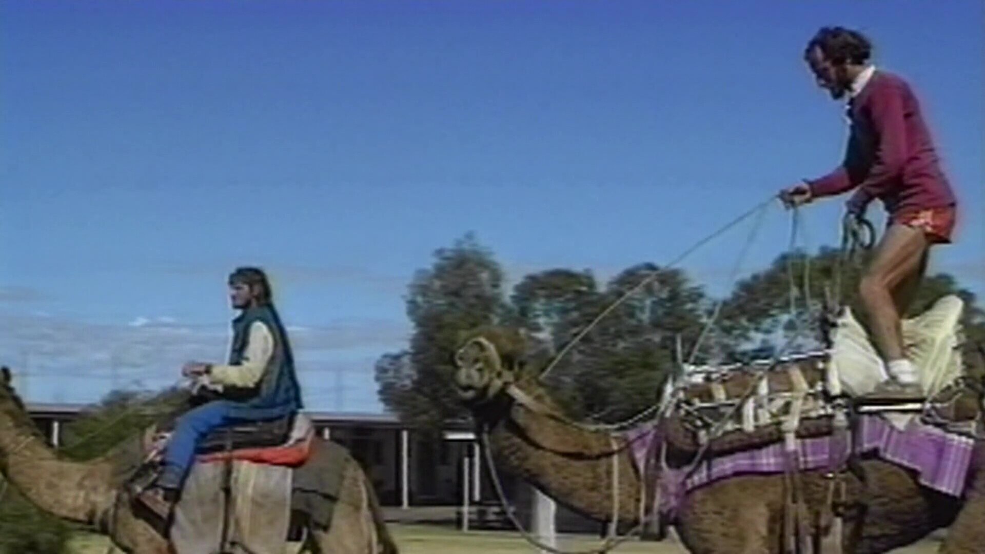 Great Australian Camel Race reunion keeps memories of gruelling outback ...
