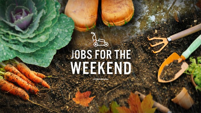Jobs for the Weekend .... 19th August - Gardening Australia