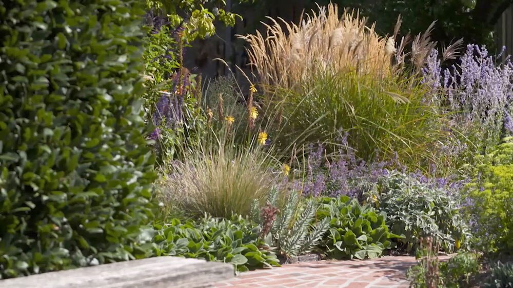 Choosing Plants - Gardening Australia