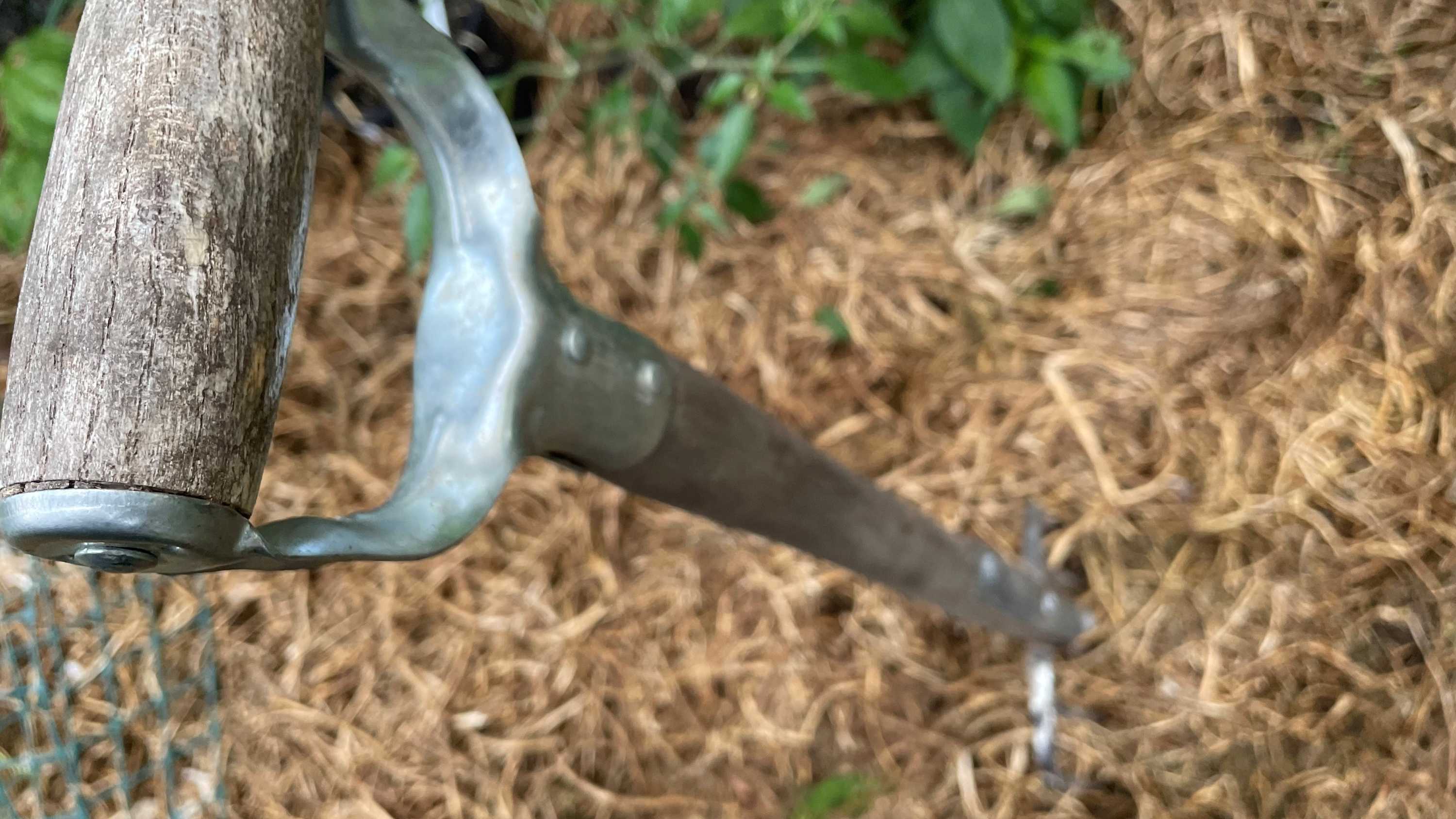 Sustainable farming key to ensuring food production after natural ...