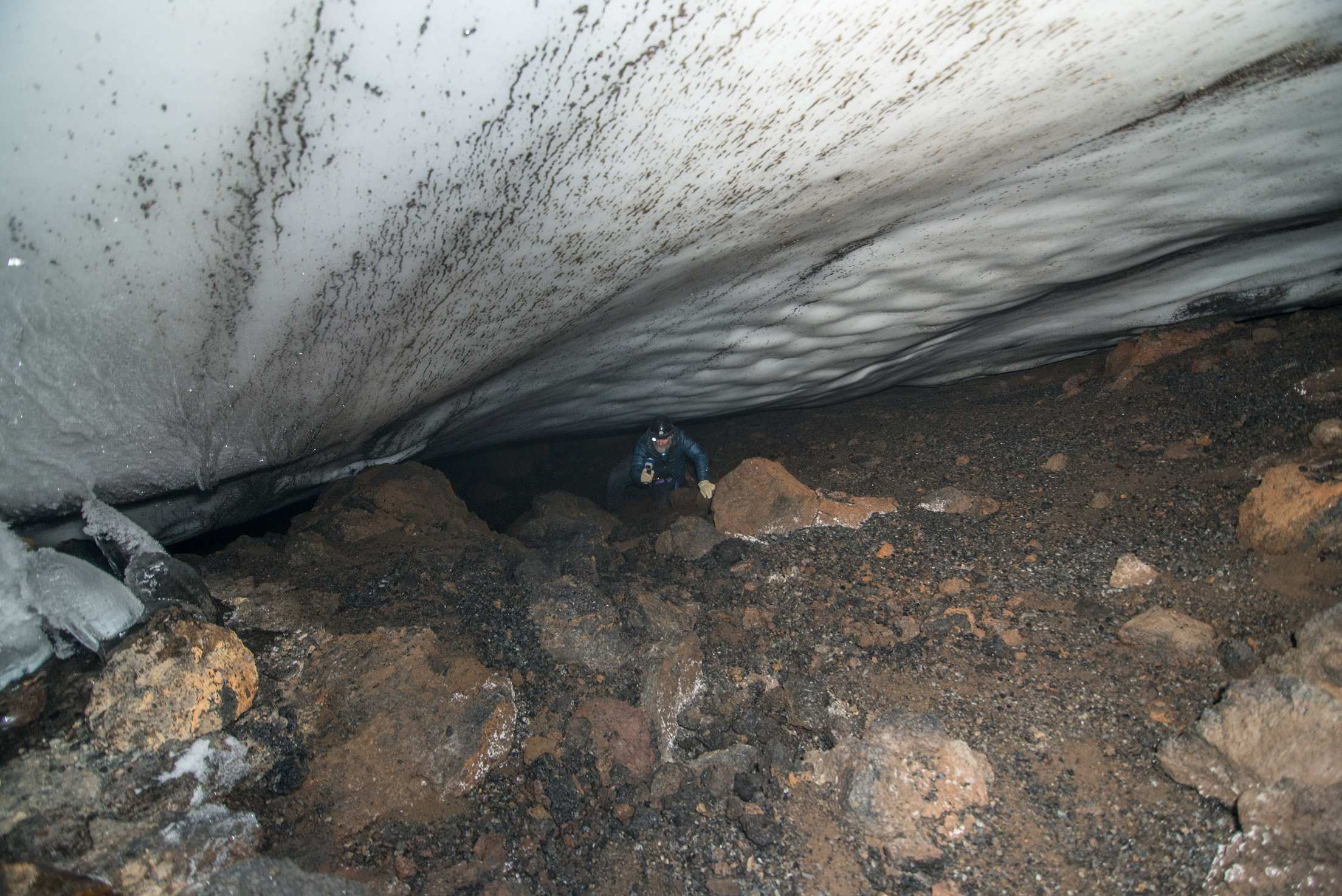 Antarctica's ice caves could be hiding undiscovered species of plants ...