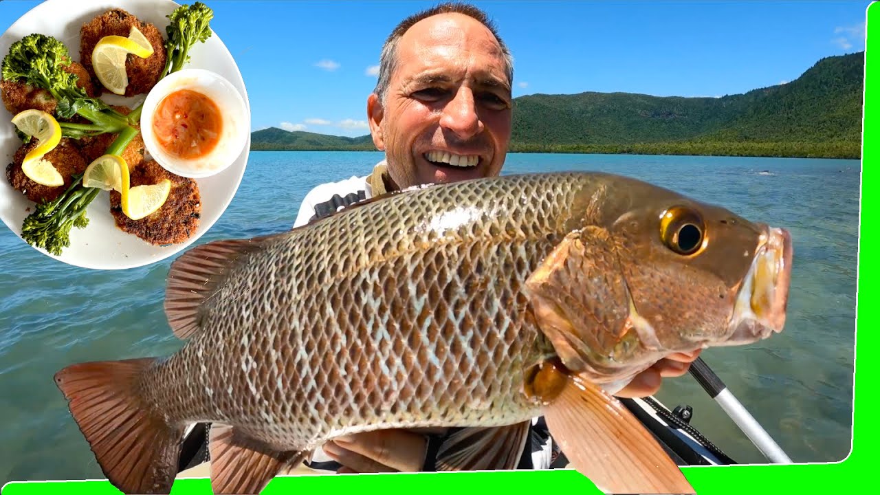 The Big Fish: Queensland Special - ABC listen