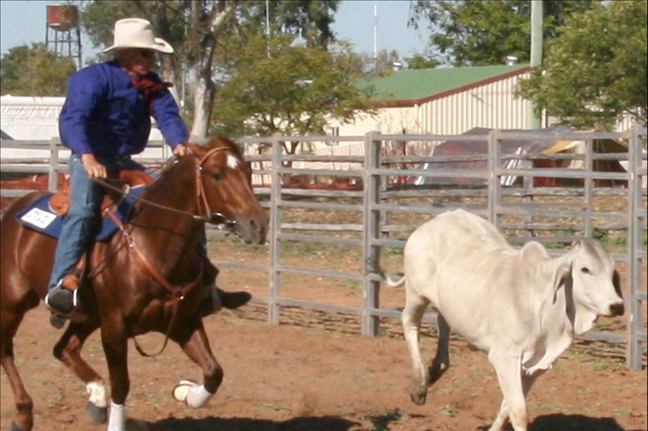 Riders saddle up for campdraft comp - ABC News