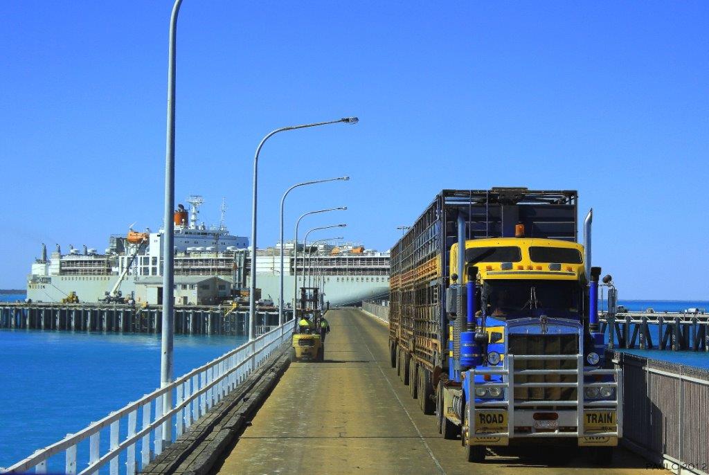 ASEL 3.0 changes coming to live export industry - ABC listen