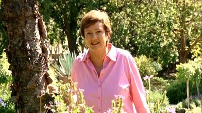 Growing Stephanotis - Gardening Australia