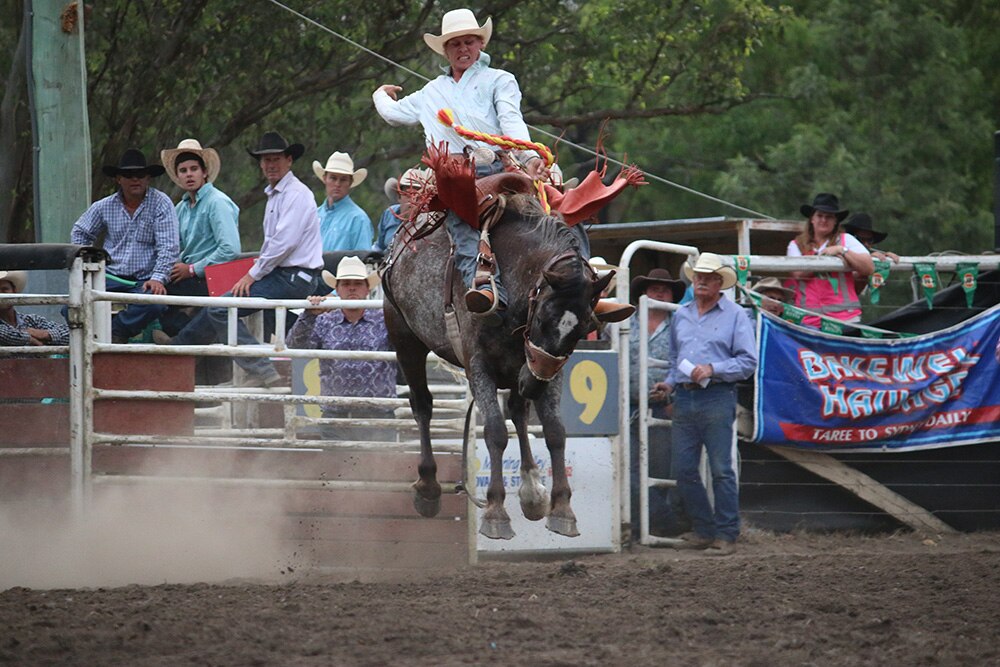 Record crowd at Wingham Summertime Rodeo in New South Wales - ABC News