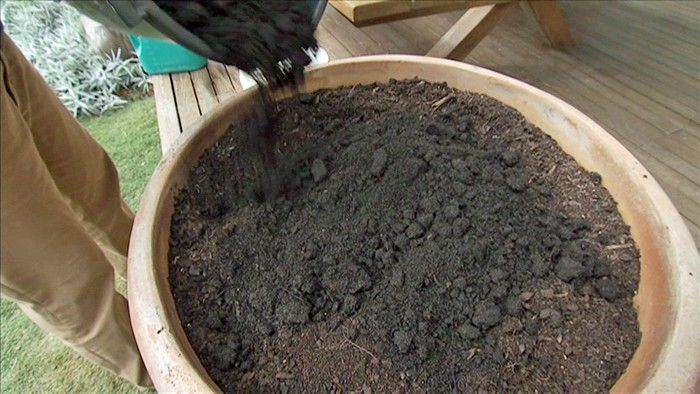 Recycling Potting Mix - Gardening Australia