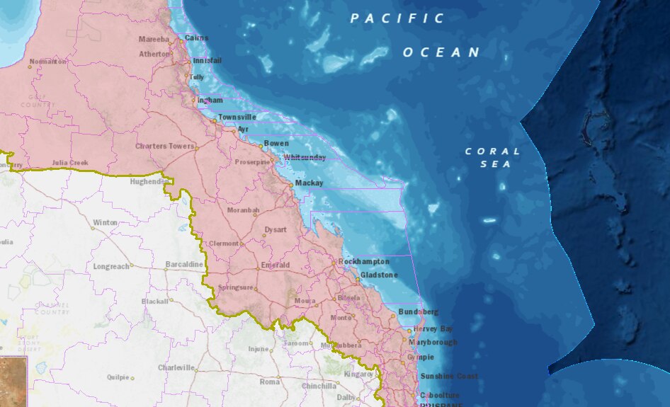 Tick explosion after mild, wet winter sees pests spread to clean cattle ...