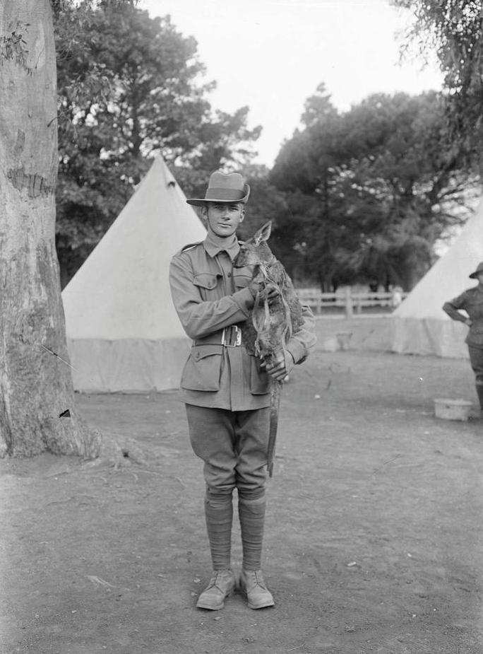 Anzac history moves online - ABC News