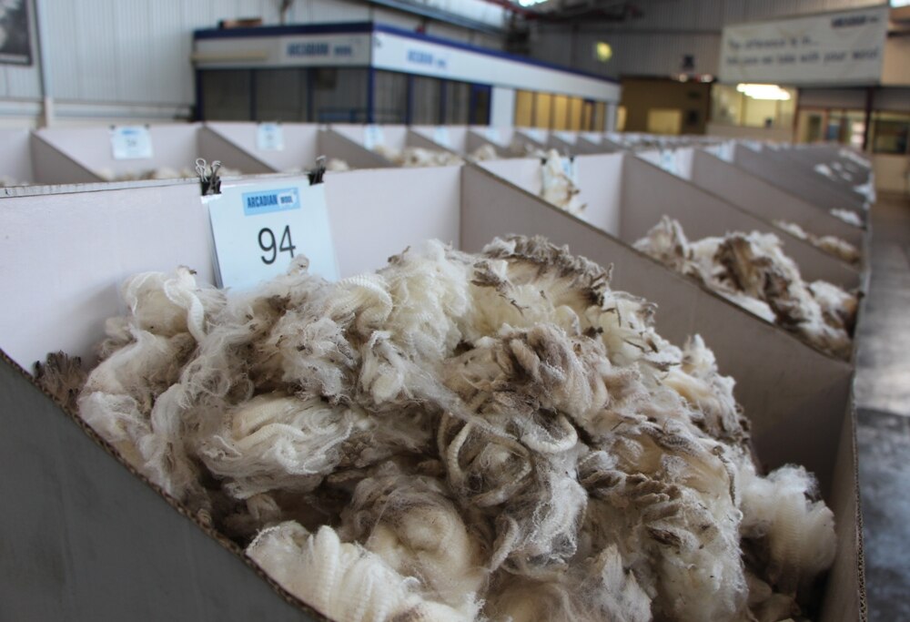 More assurances needed from AWI online wool auction plan - ABC News