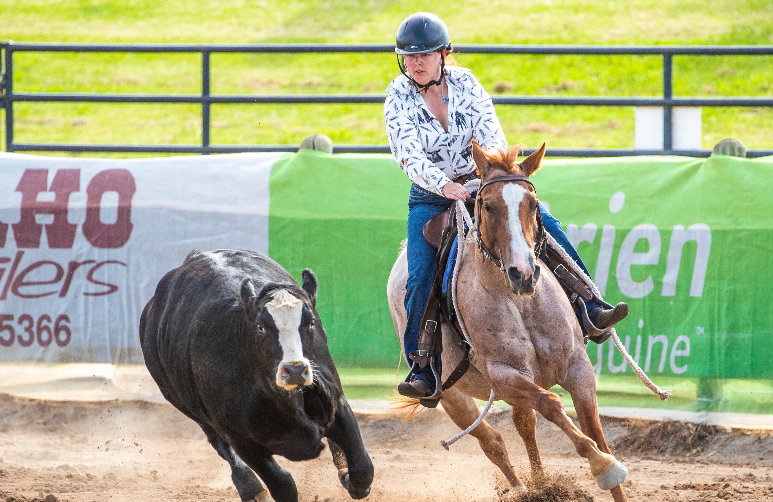 Why Rudi McEwin put figure-skating on ice and cantered into ...