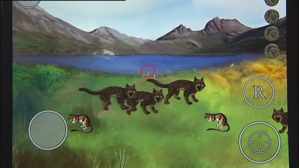 New phone app targets feral cats - ABC News