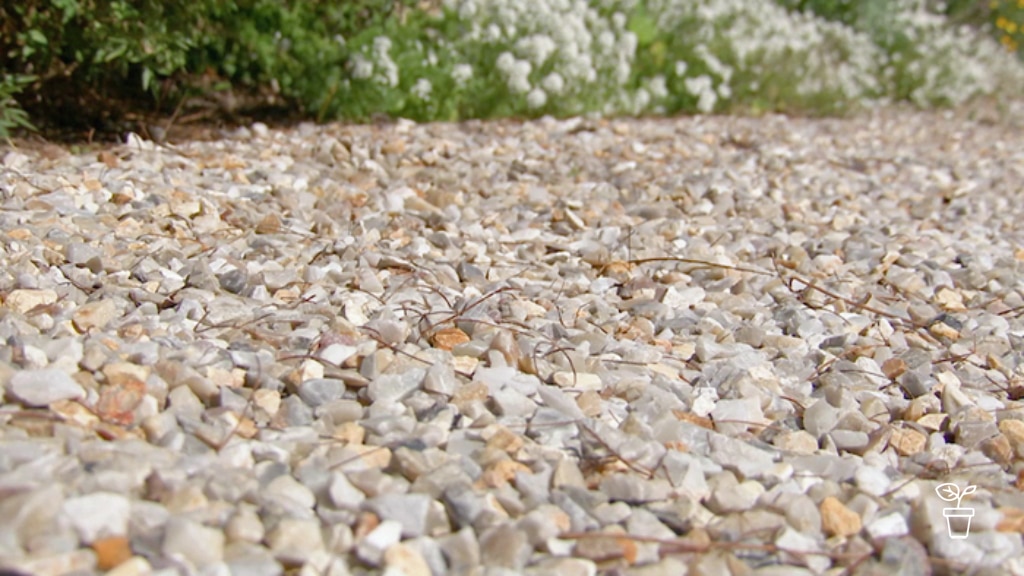 Permeable Surfaces - Gardening Australia
