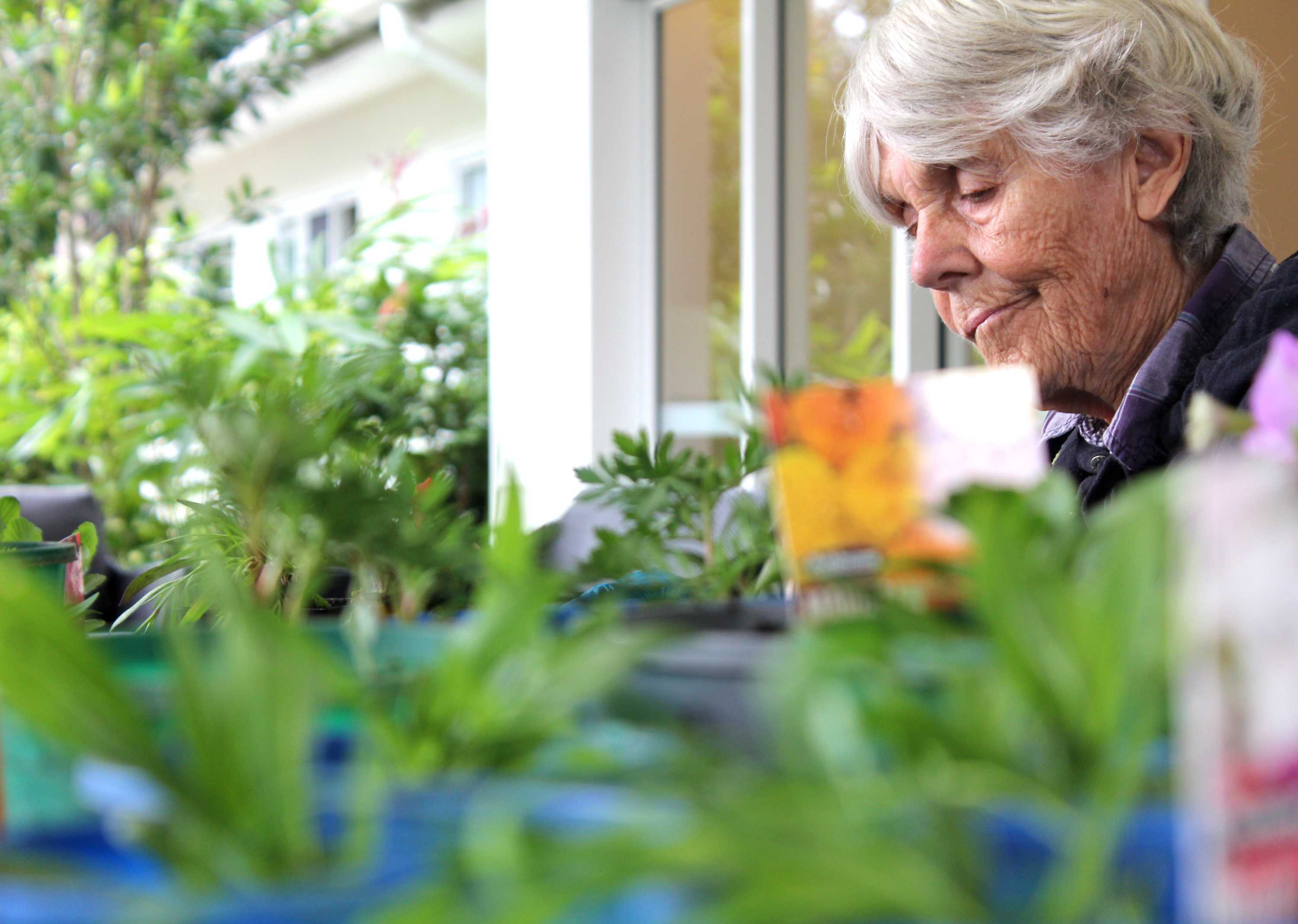 Horticulture therapy brightens the days of dementia patients on ...