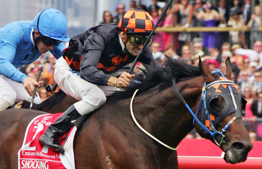 How to pick a Melbourne Cup winner - ABC News