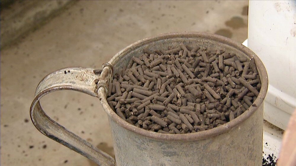 Lemonicious - Gardening Australia