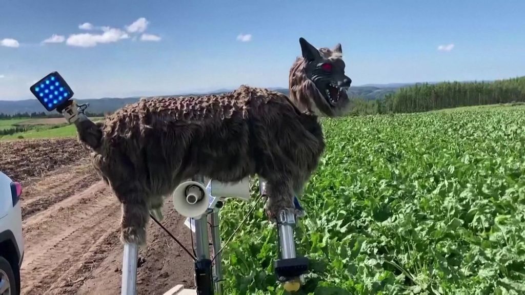 Roaring robot monster world protects Japanese towns from bears - ABC News