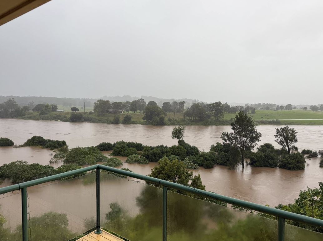 Flood-ravaged Wingham begins cleanup - ABC listen
