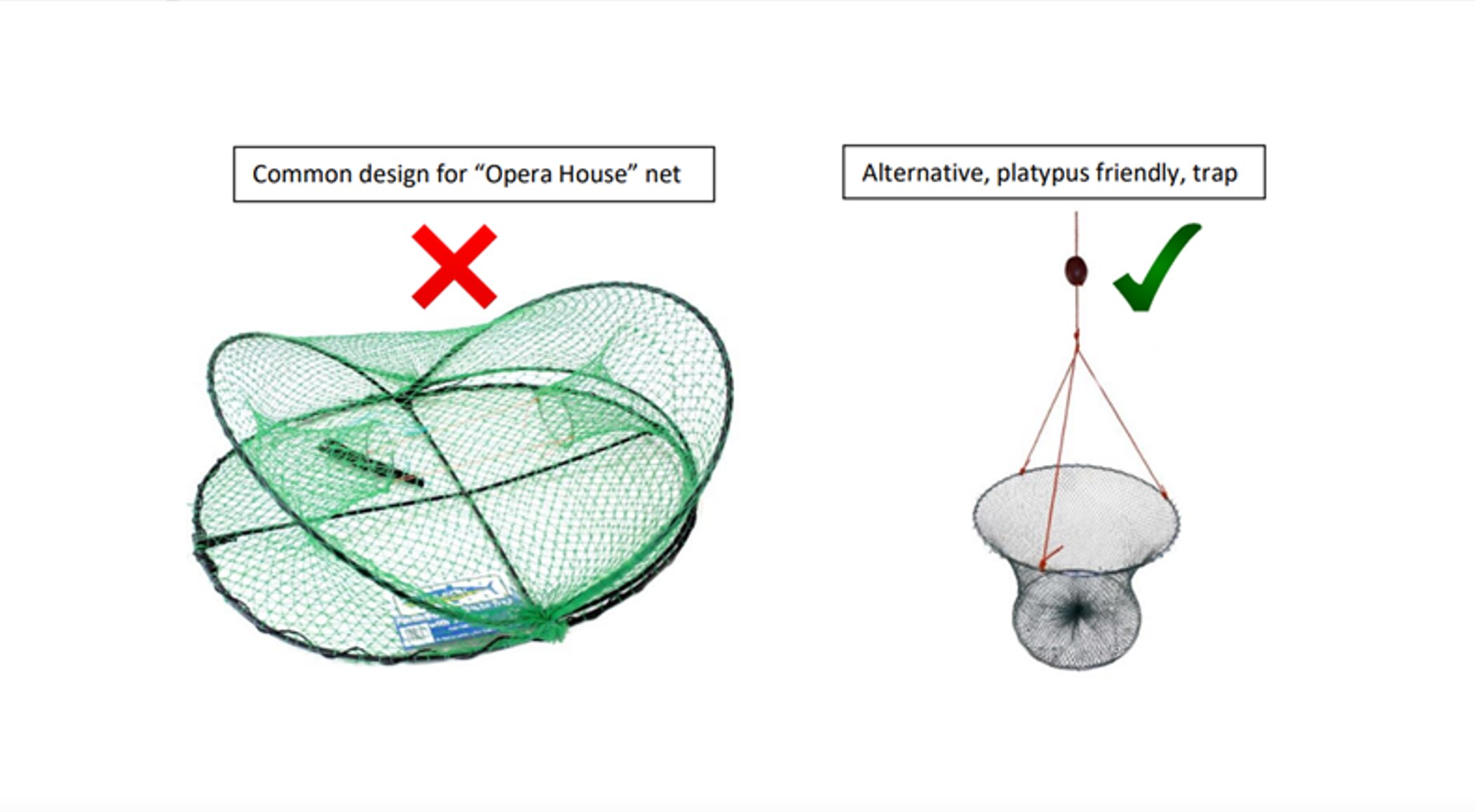 Queensland Fisheries survey seeks feedback on potential 'opera house ...