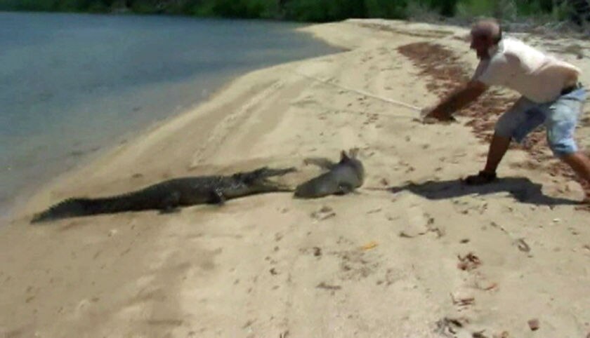 What a croc! - ABC News