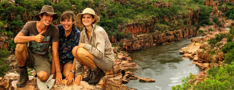 Australia's unique, golden-backed tree-rats and why we need to save ...