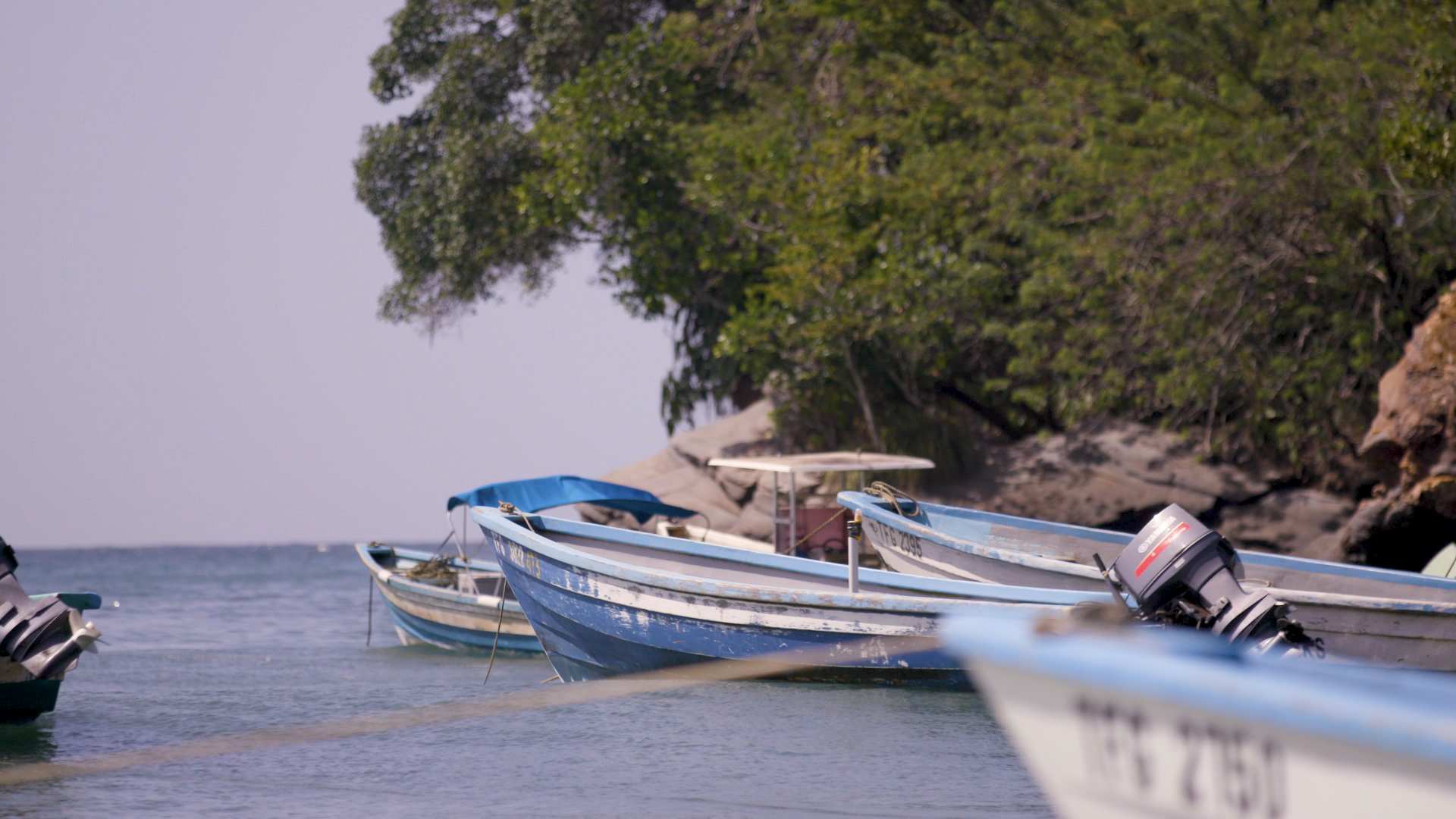 Boats bobbing in the water in Trinidad. - ABC News