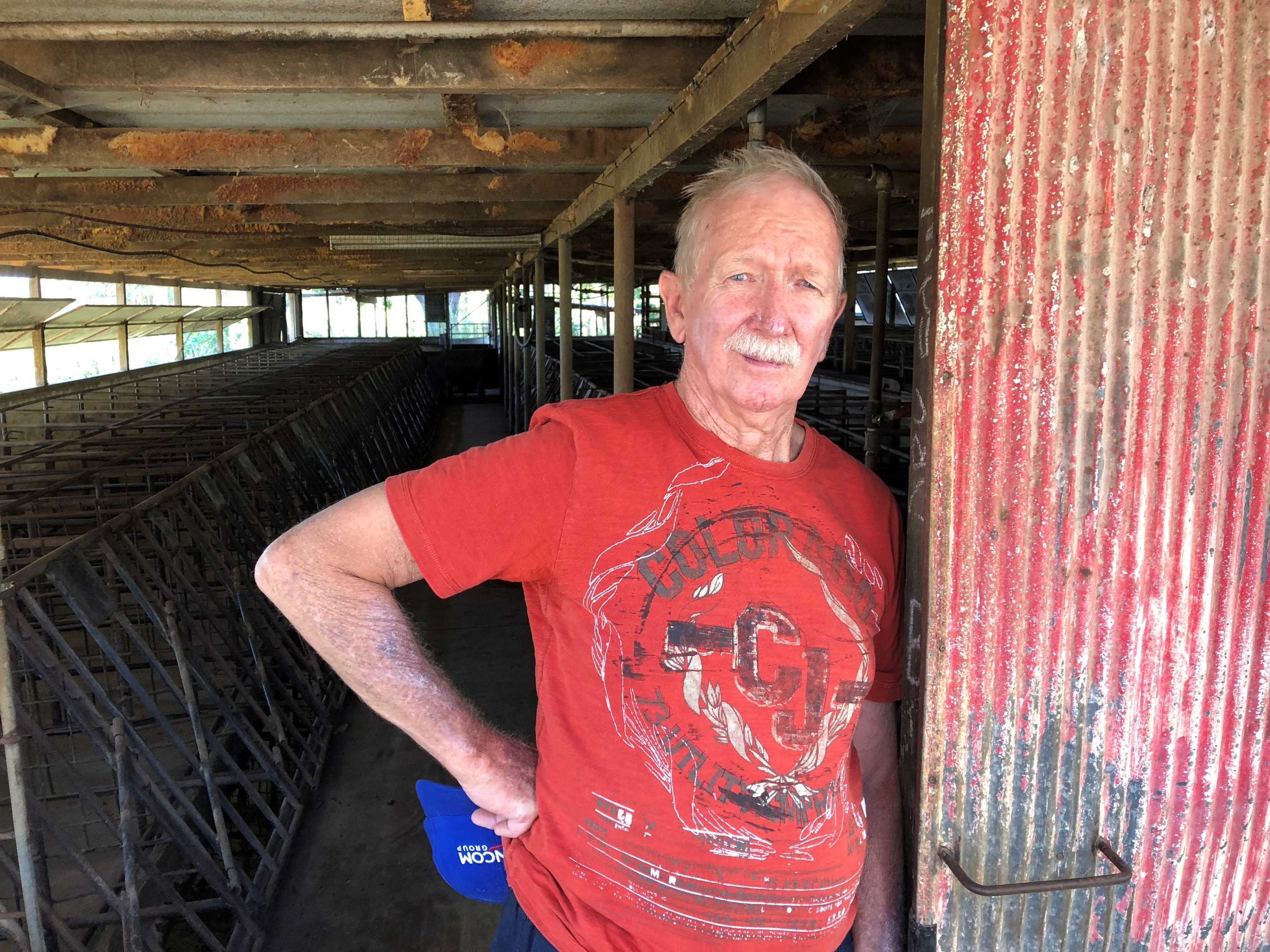 Piggery closes on Atherton Tableland amid spiralling grain costs ...