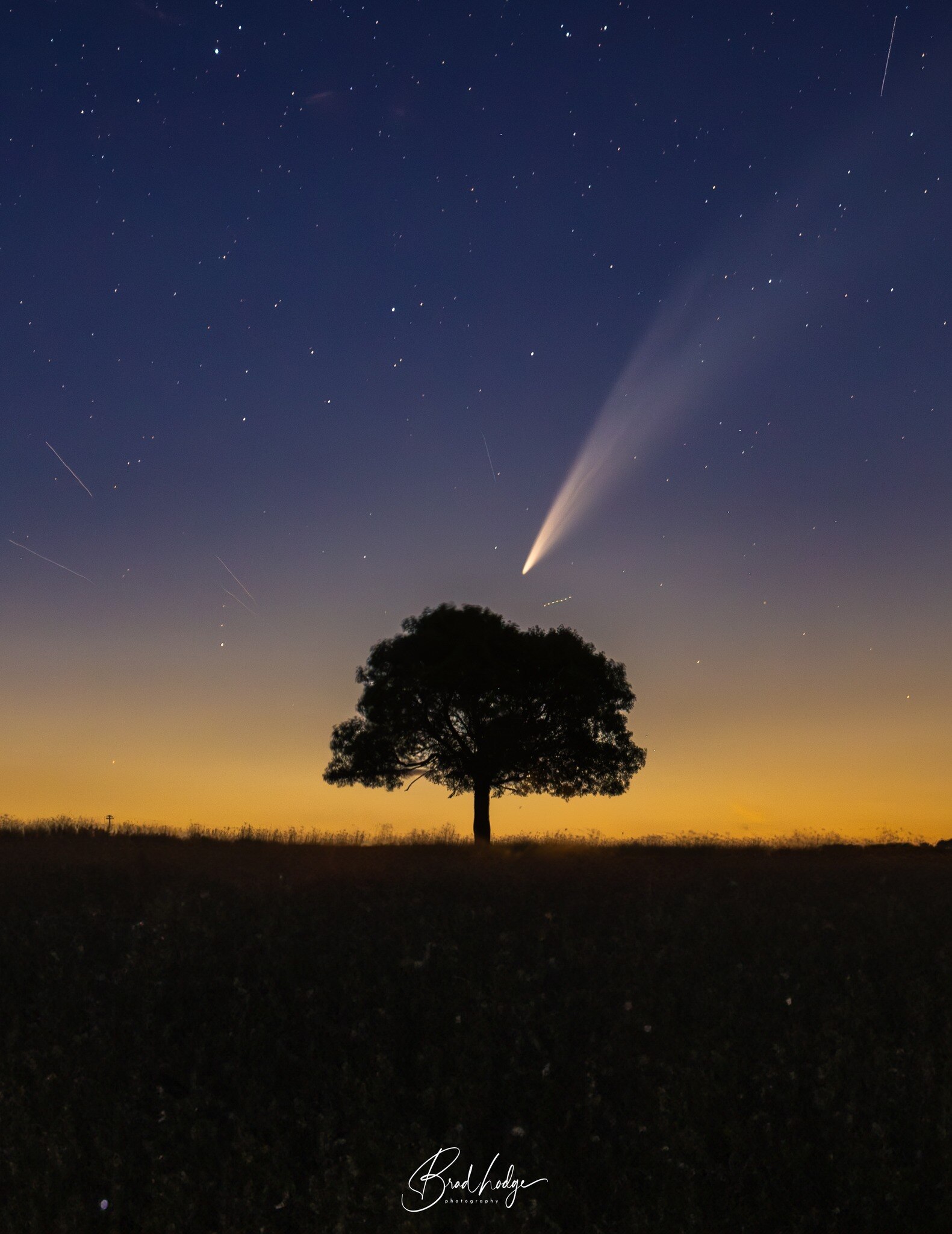 The C/2024 G3 (ATLAS) comet is 'dead', but it's still visible. Here's how to see it - ABC News