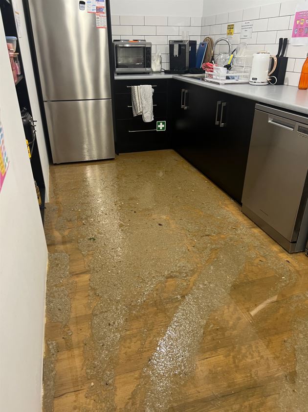 Modbury business flooded in faeces - ABC listen