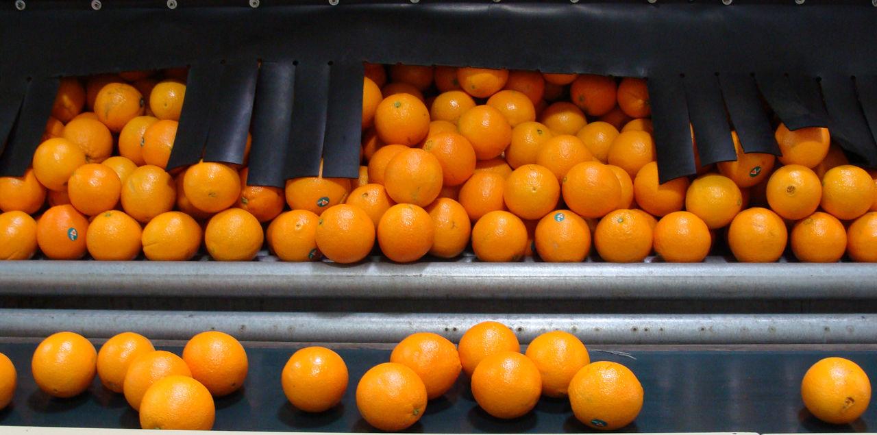 Oranges in caramel - ABC News