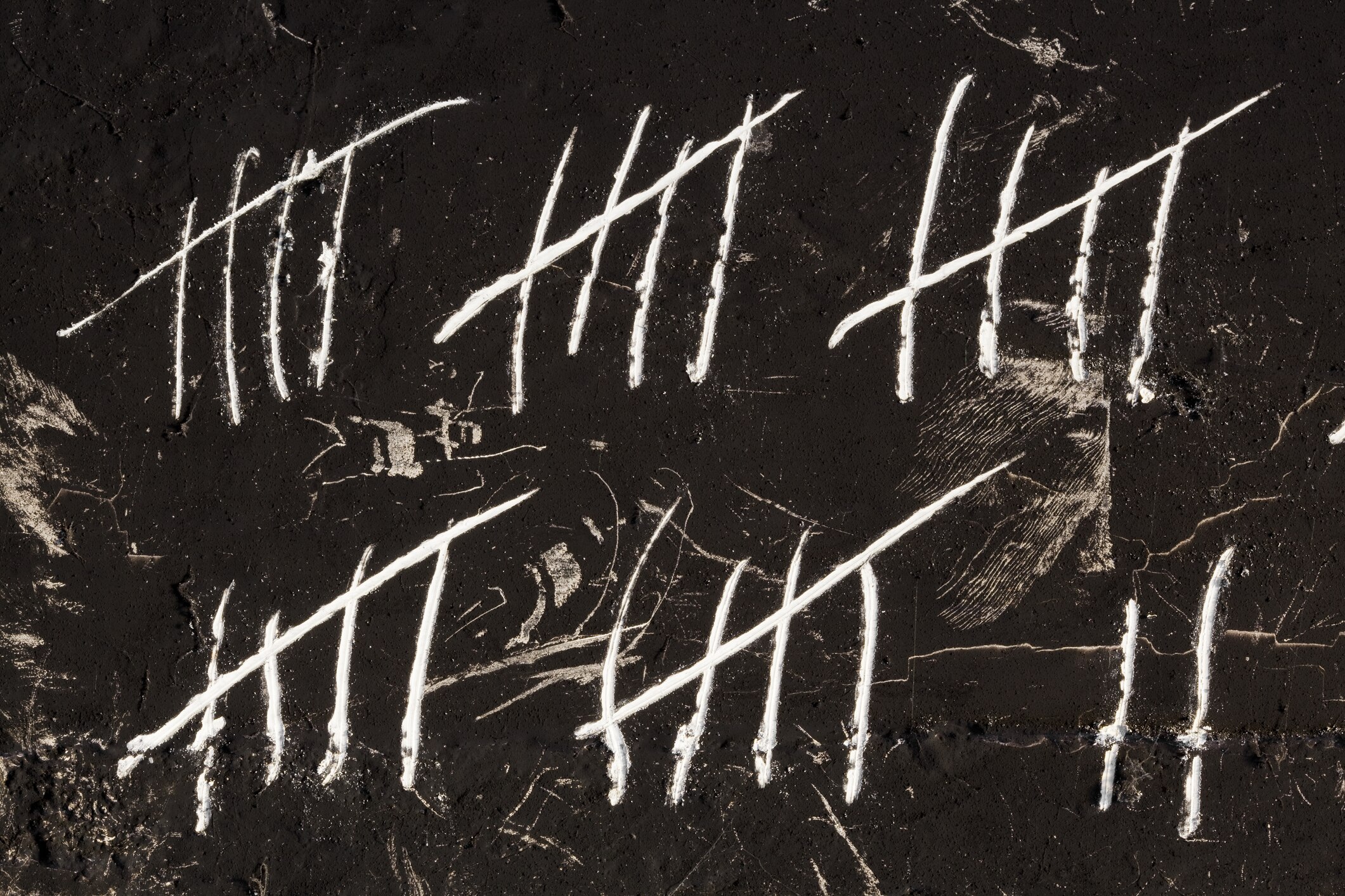 What's behind the human need to count everything? - ABC listen