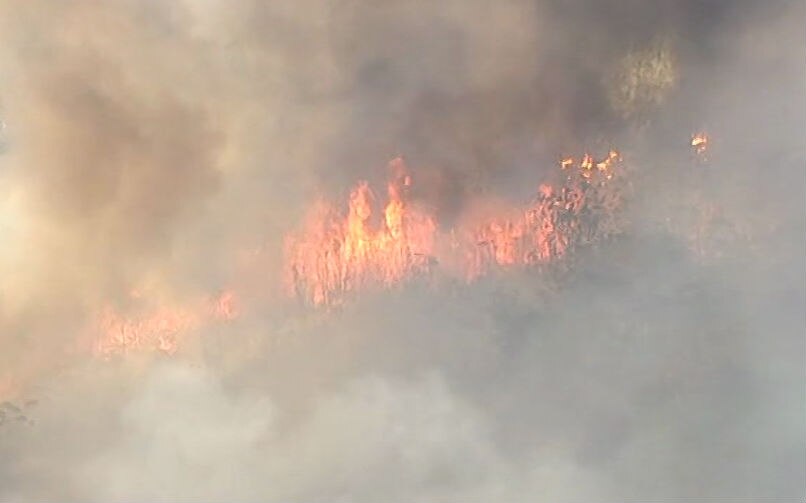 Bushfire burning near the Bruce Highway at Caloundra - ABC News