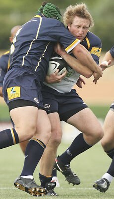 Brumbies bench Young for Sharks encounter - ABC News