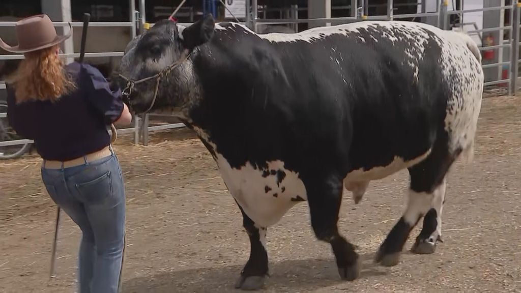 Hall of Fame at Beef 2024. - ABC News