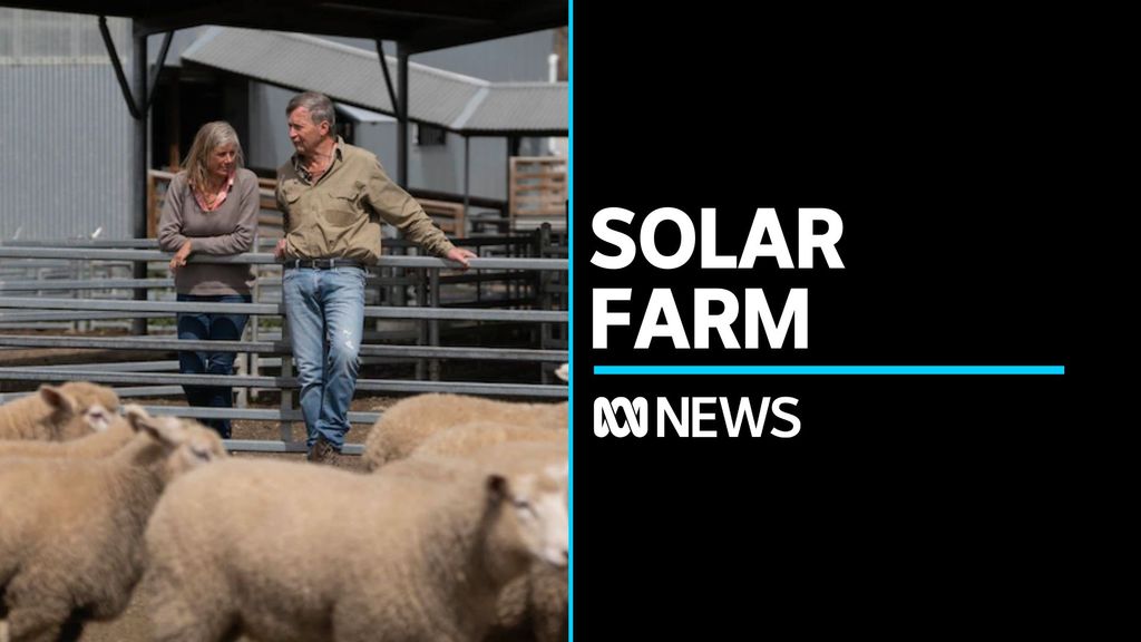 Solar Energy - Topic - ABC News