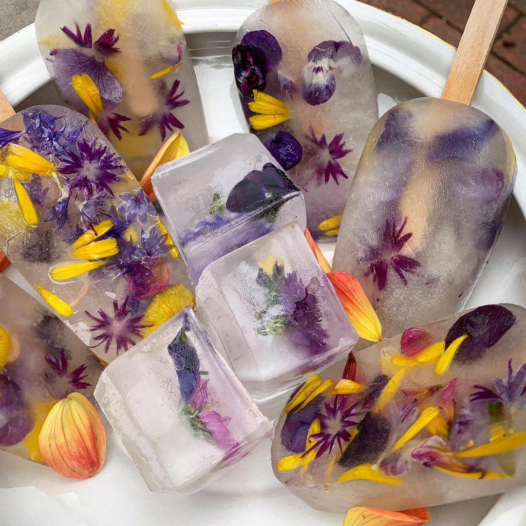 How to grow edible flowers at home - ABC News