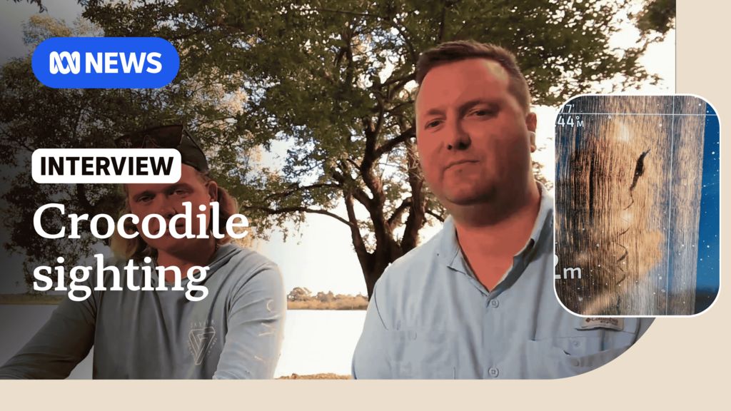 Noosa fisherman captures underwater image of possible crocodile ...