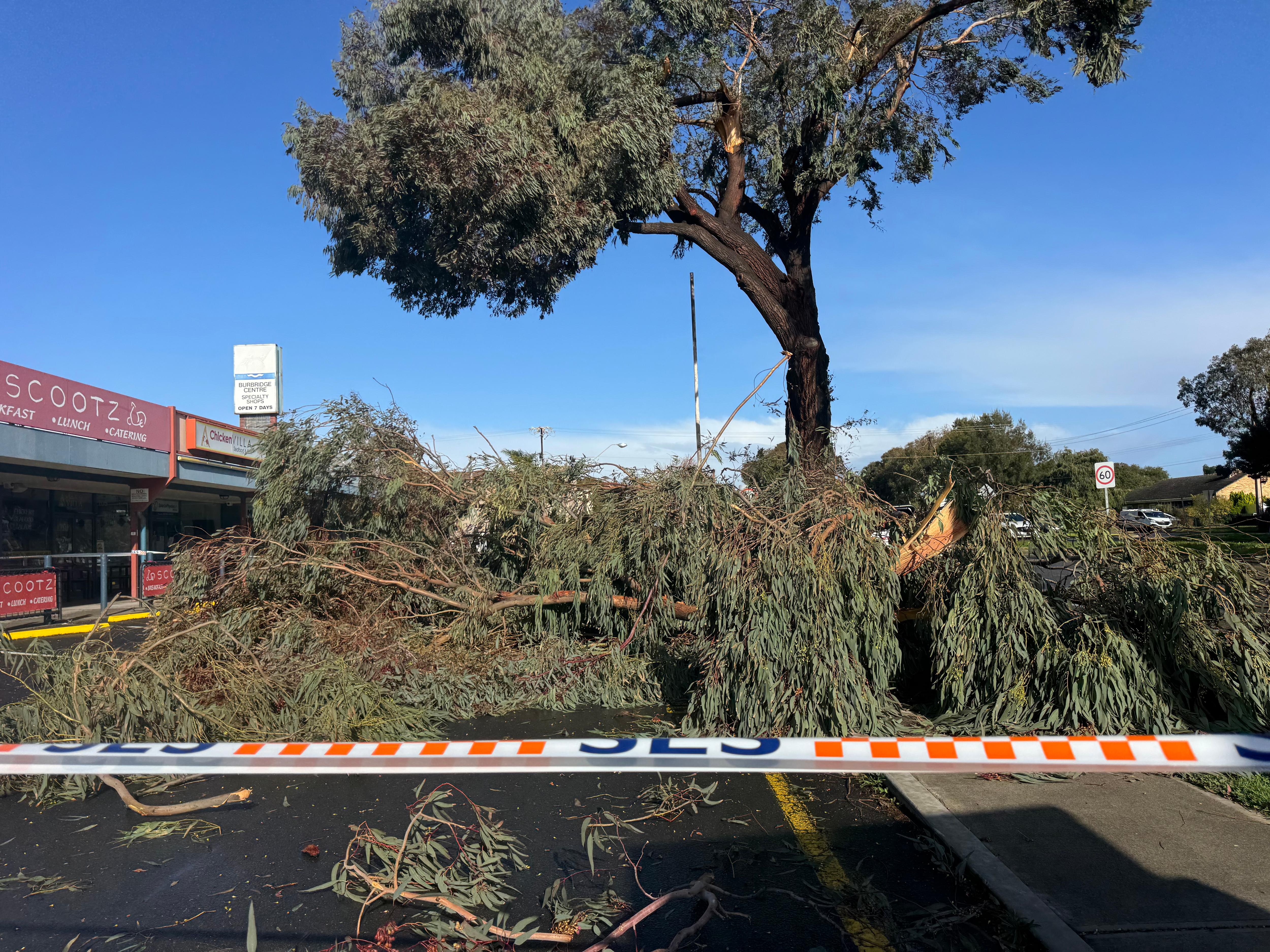 Two small and fast-moving tornadoes 'likely' hit Adelaide's northern ...