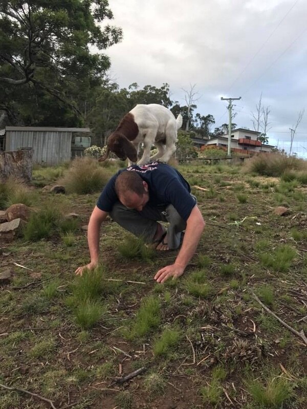 Let me tell you a story about a goat - ABC Hobart