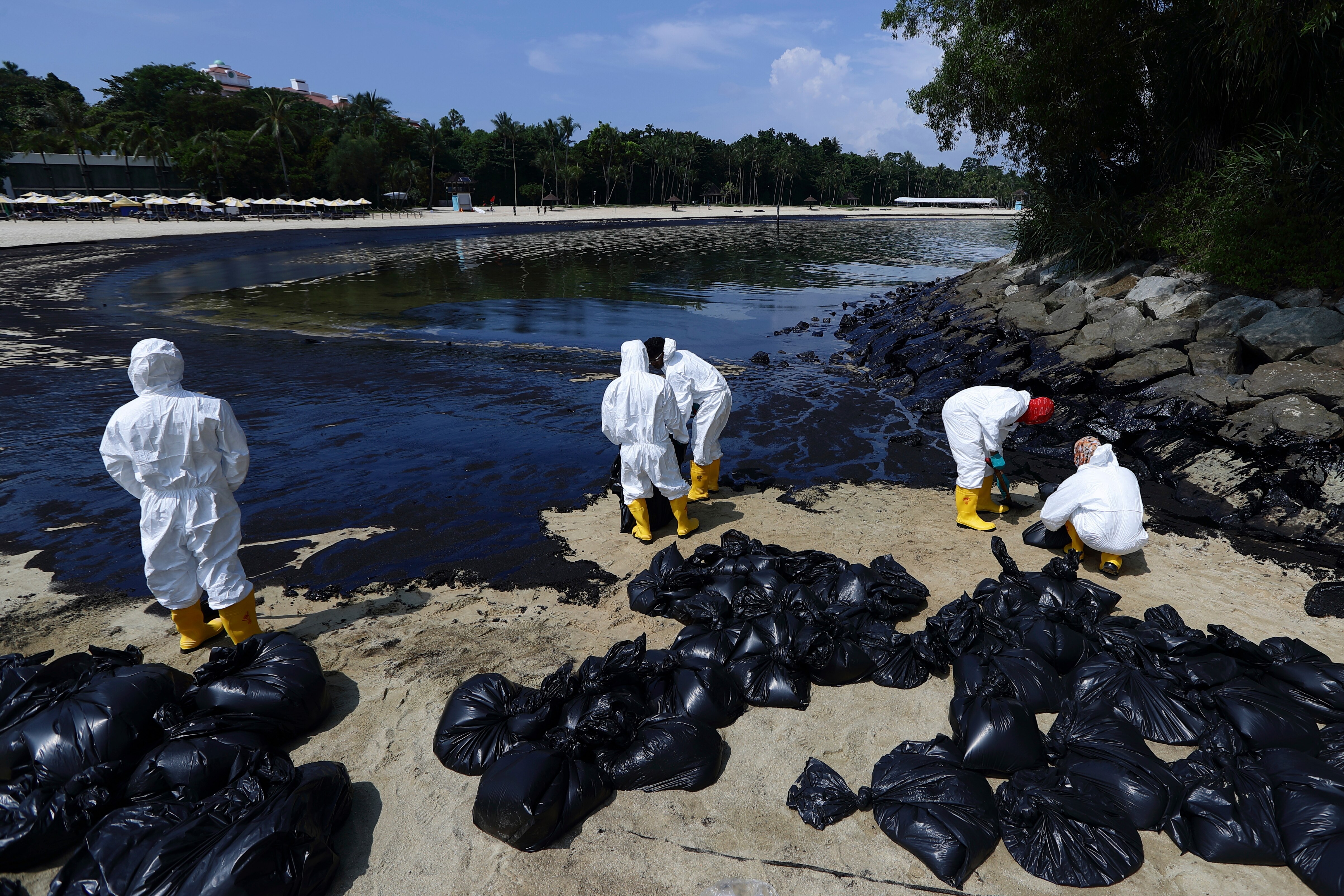 Singaporeans rush to clean oil spill after boats collide - ABC News