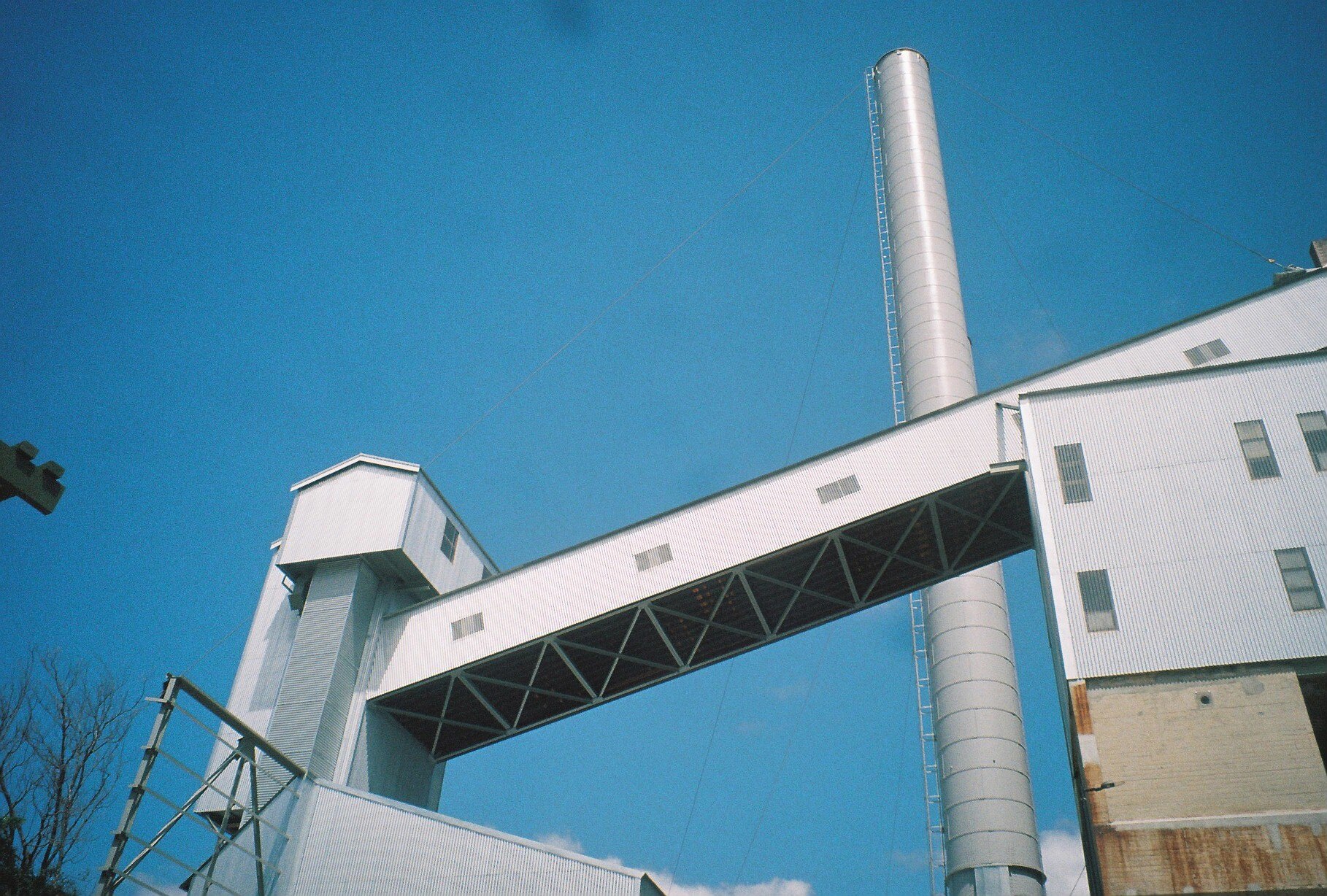 Twenty tonnes of pigeon poo and broken windows make way for leading ...