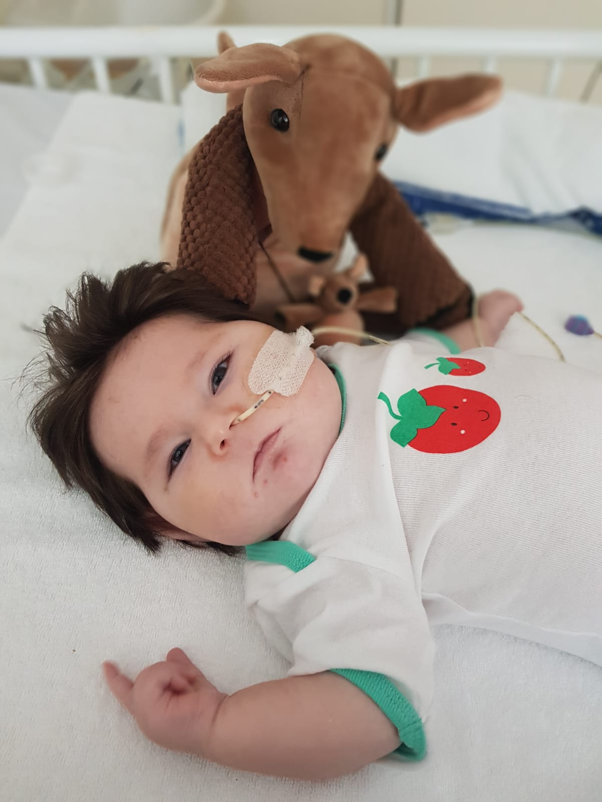 Baby Enzo Denari's brain condition is a mystery to doctors, but family ...