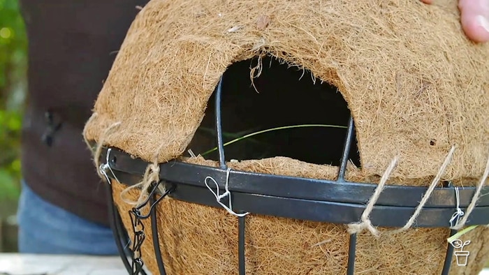 Safe 'n' Sound | Ringtail Possum Drey - Gardening Australia