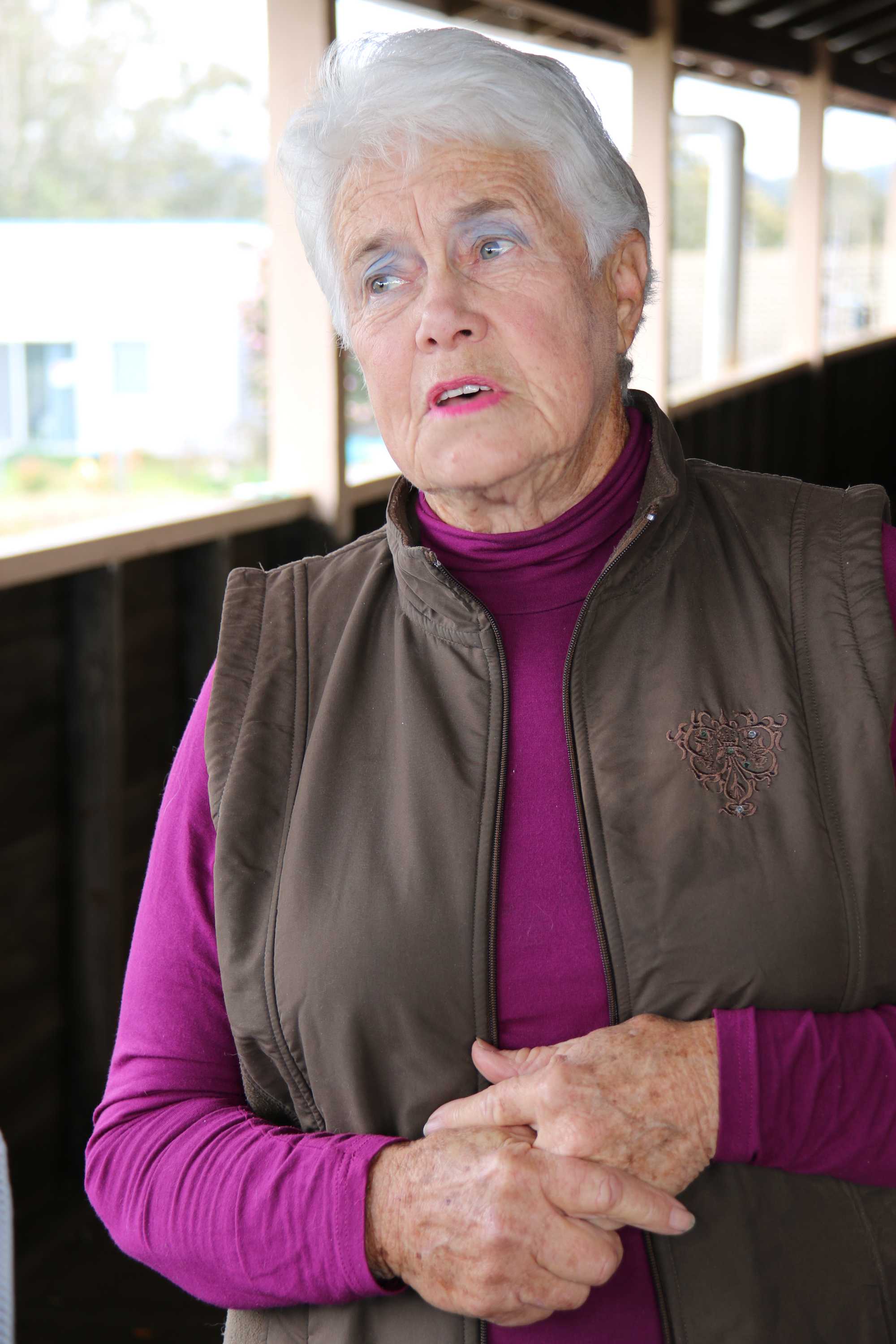 Batemans Bay plagued by bats, with residents calling for urgent council ...