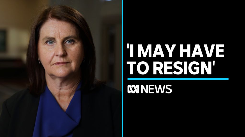'I may have to resign': NDIS commissioner allegedly misleads ABC by ...