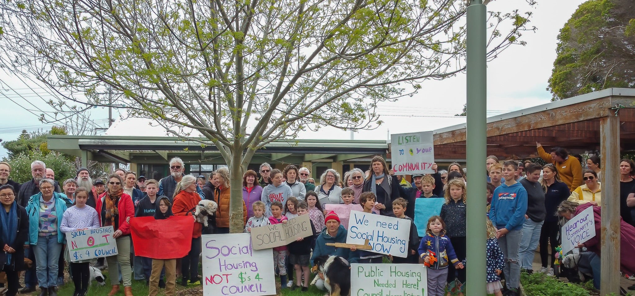 Local Government - Topic - ABC News