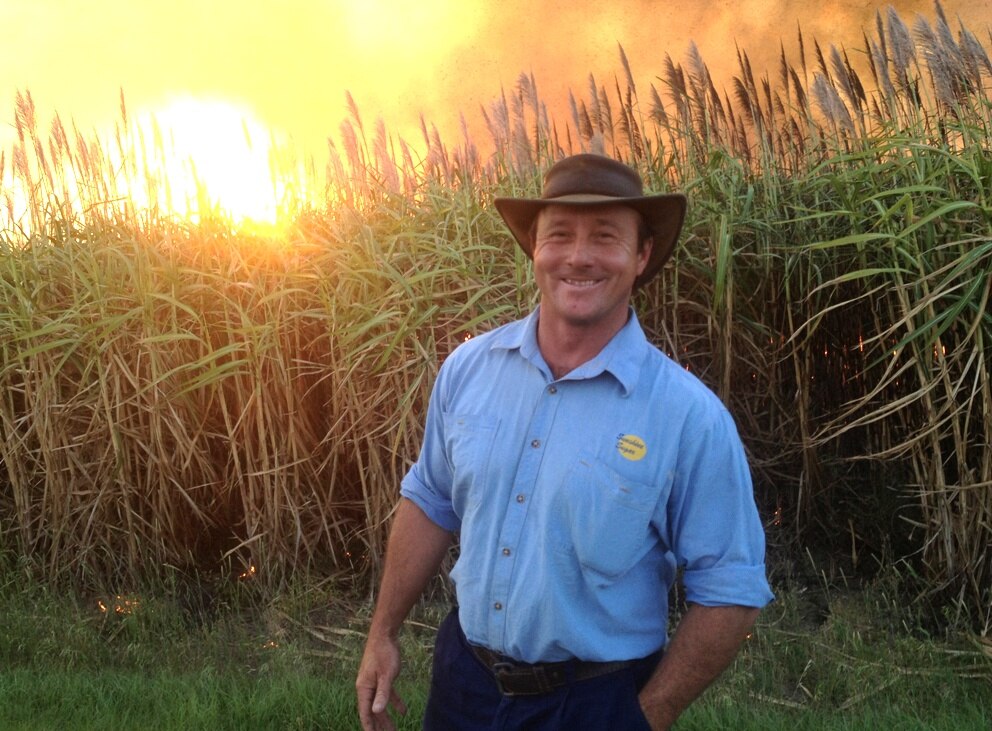 A cracking cane yarn - ABC News