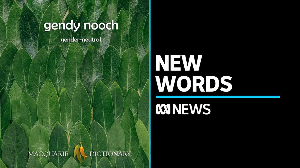 Macquarie Dictionary considers new words for 2023 - ABC News